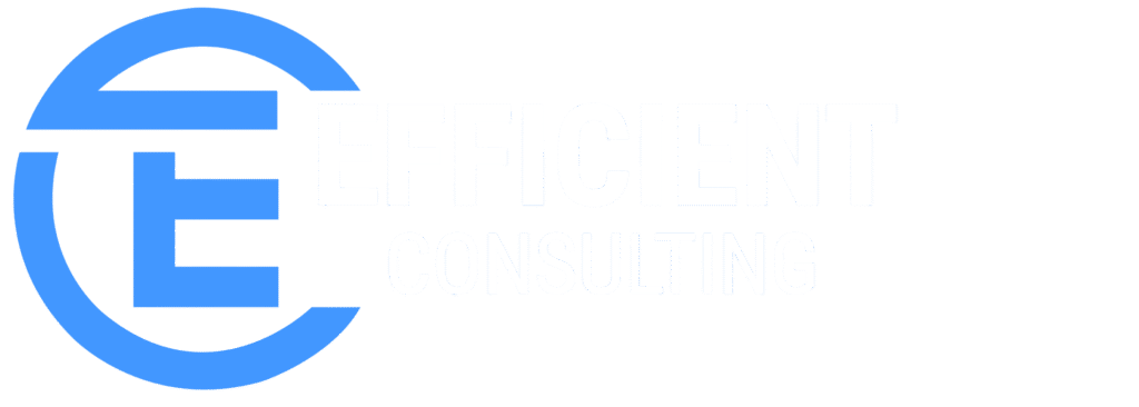 Efficient Consulting UG – IT-Beratung mit Substanz